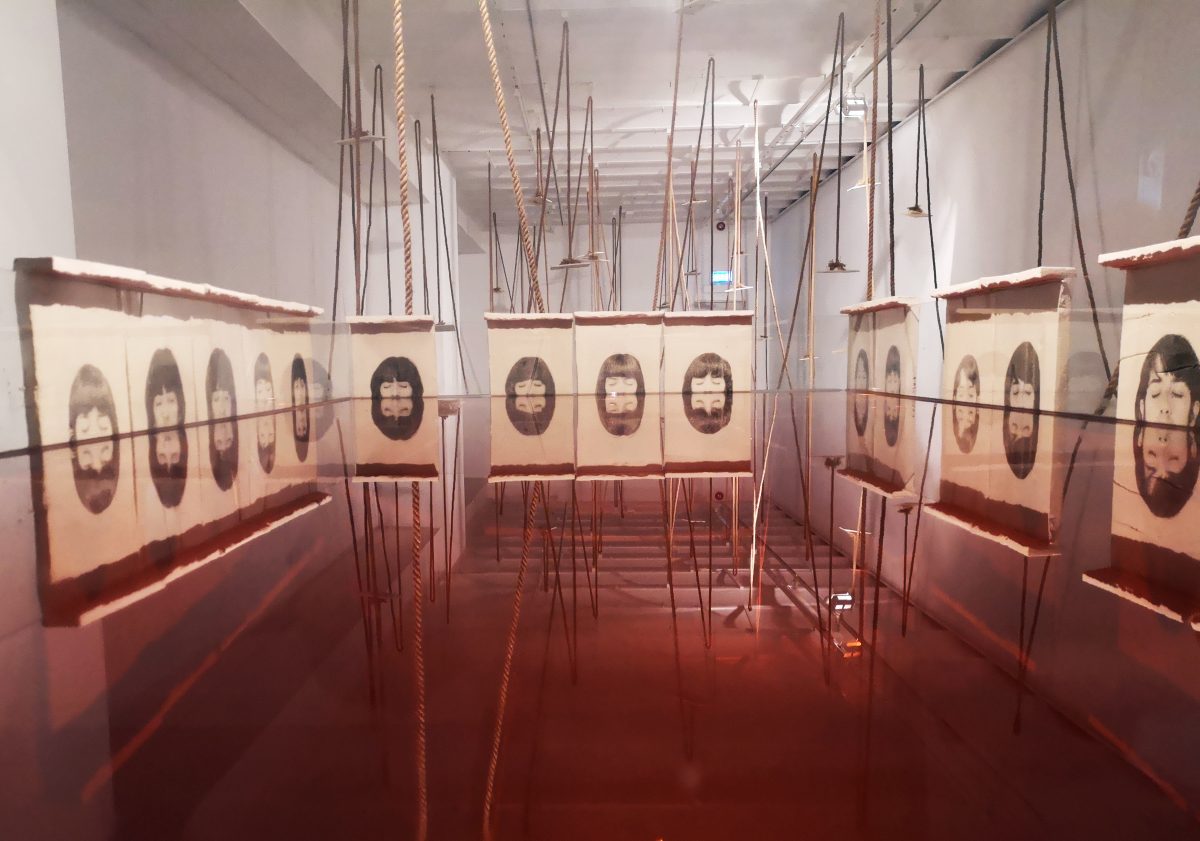 IA-Resident Samaneh Roghani | Artists at Risk (AR)